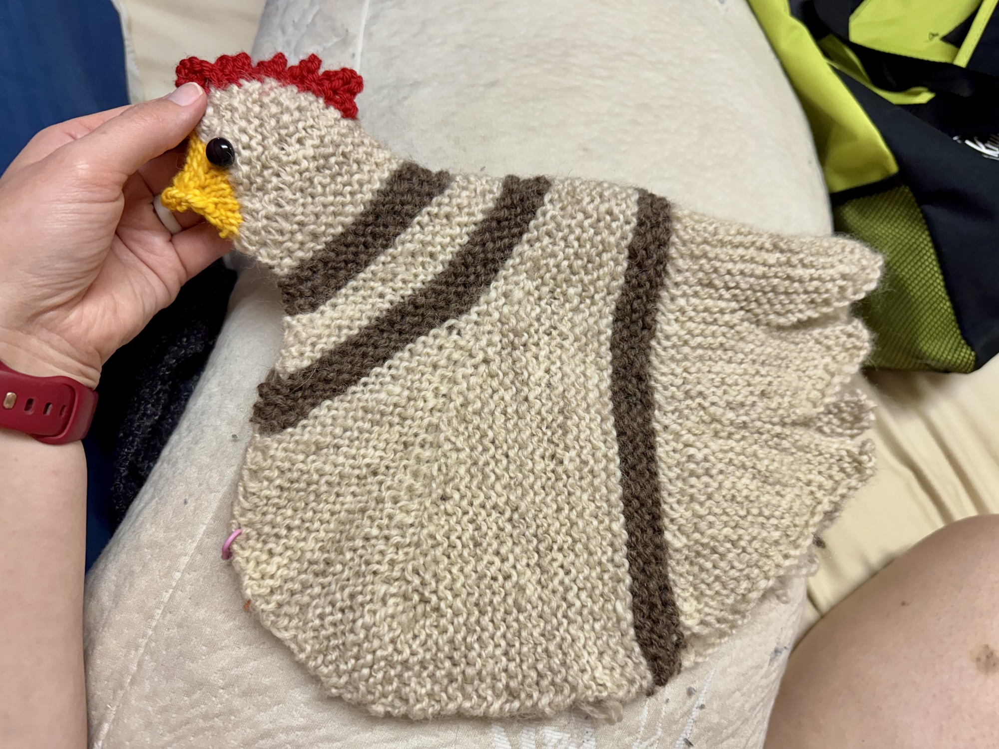 A Flat Chicken | My Tangled Yarn Knitting Adventures